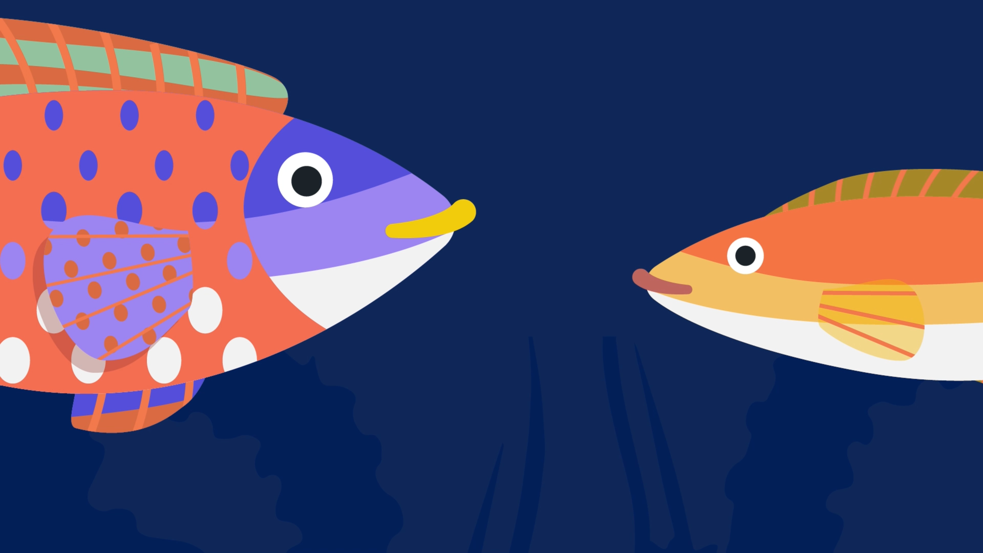 Animation Communication Engagement | Challenging Habitat