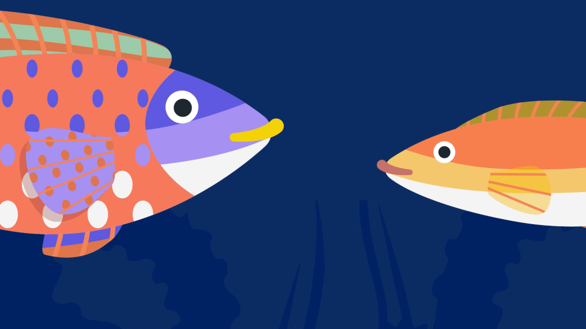 Animation Communication Engagement | Challenging Habitat