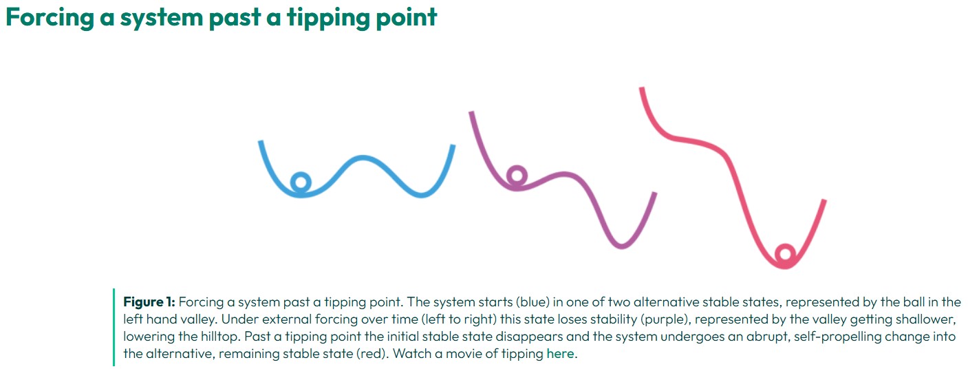 Tipping Points | Challenging Habitat